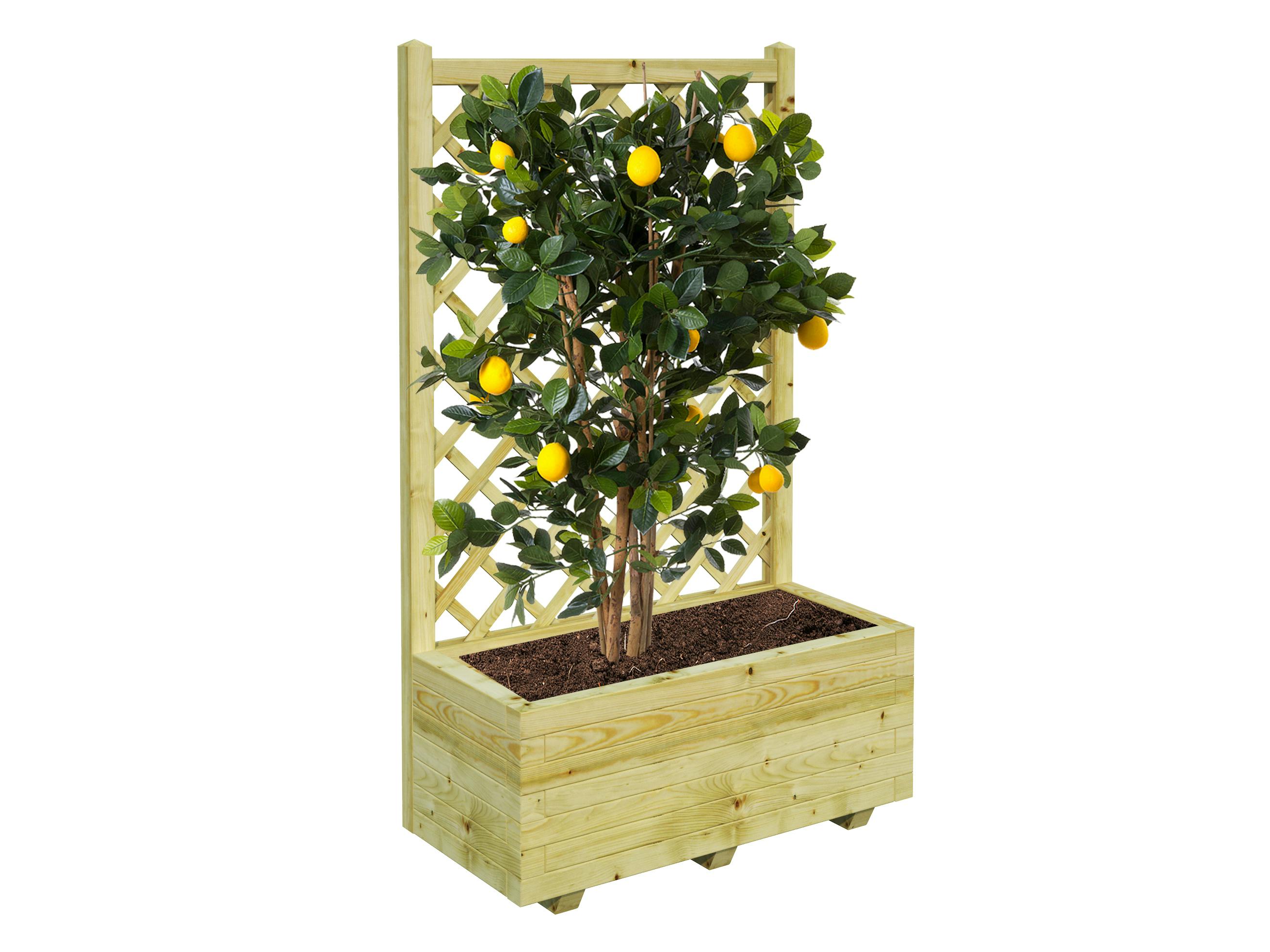 Planter Boxes NZ - Shop Online